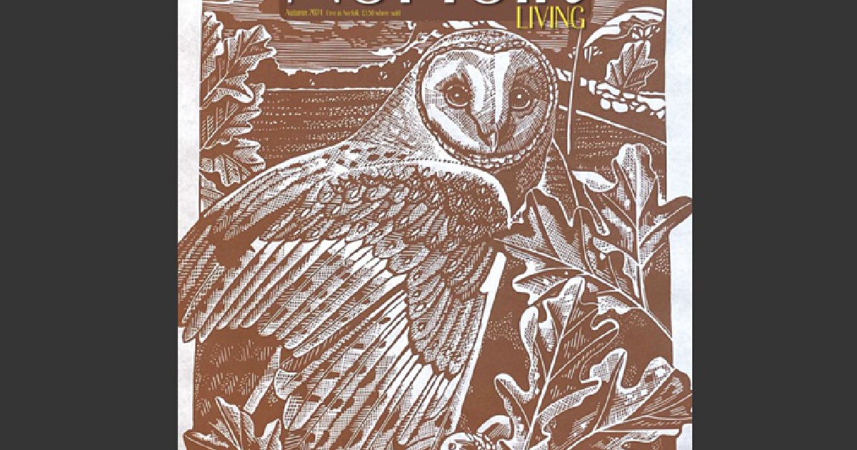 MEDIA | Contemporary and Country